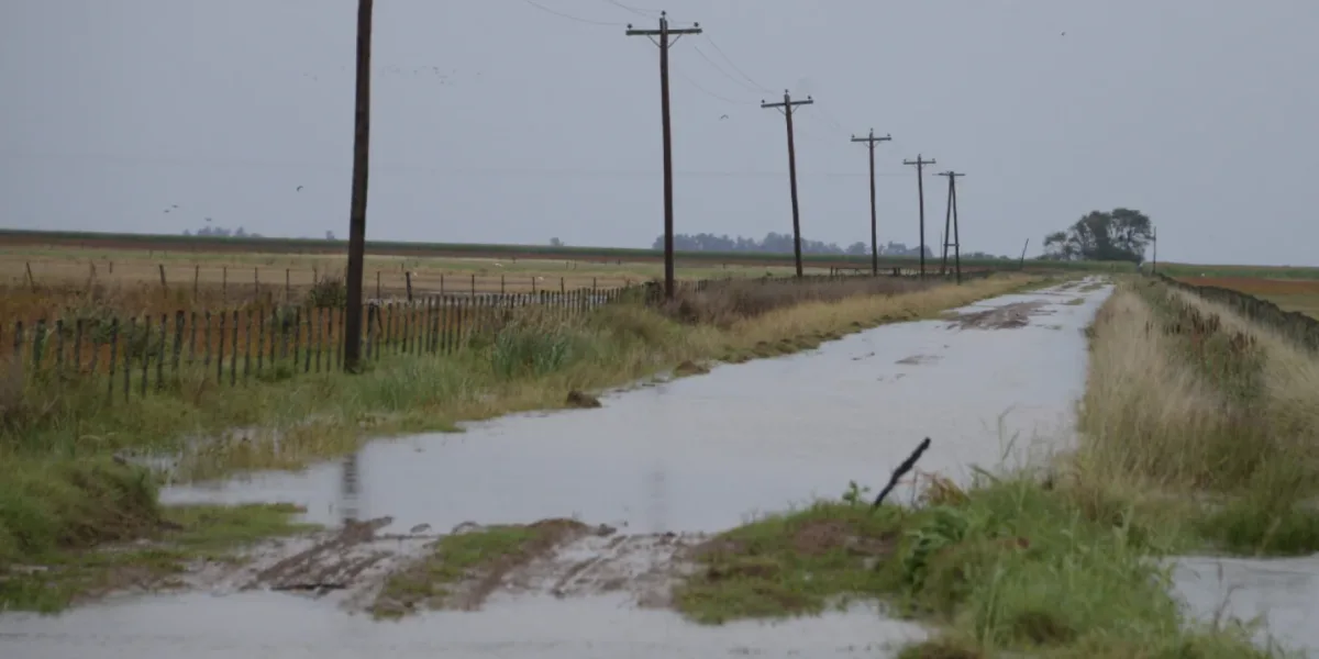 El Gobierno declaró emergencia agropecuaria en Buenos Aires y San Juan | Filo News